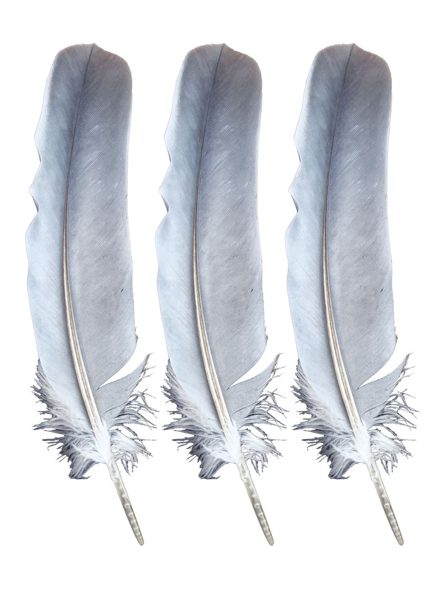 'Three Feathers Light' Poster by Dave Foster | Displate