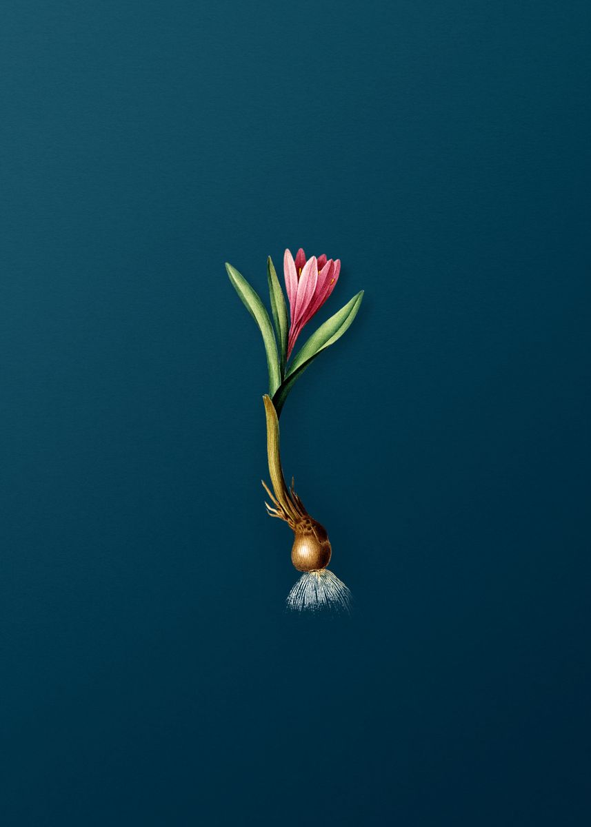 'Spring Meadow Saffron' Poster by Holy Rock Design | Displate