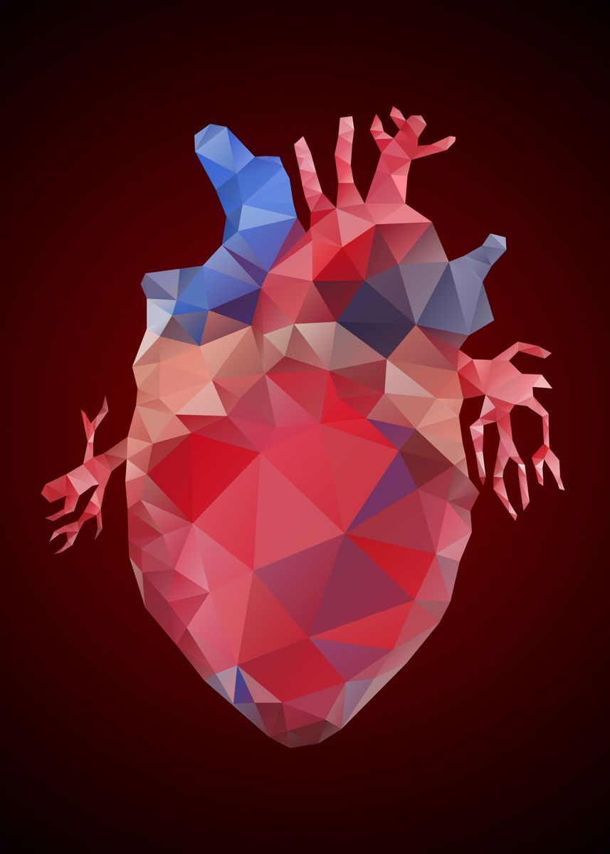 'Low Poly Heart Anatomy' Poster by RAWWR | Displate