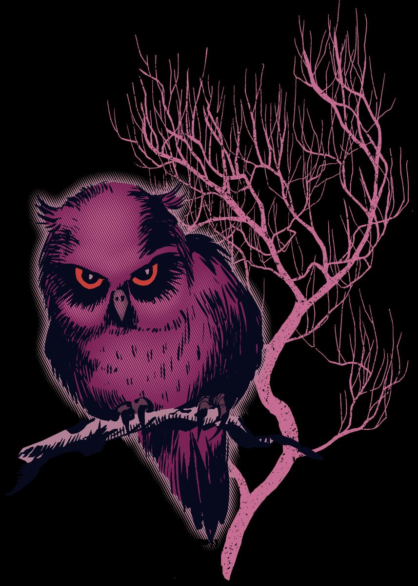 'Grumpy Owl ' Poster, picture, metal print, paint by allipapa | Displate
