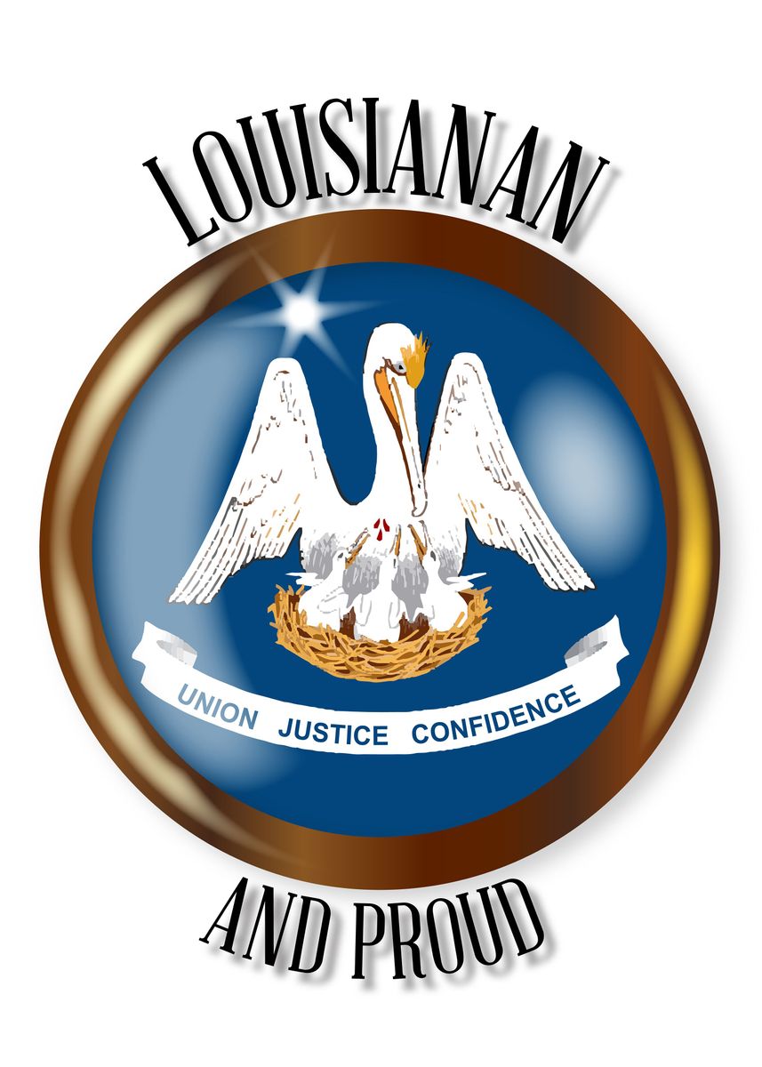 'Louisiana Proud Flag' Poster, picture, metal print, paint by HomeStead ...