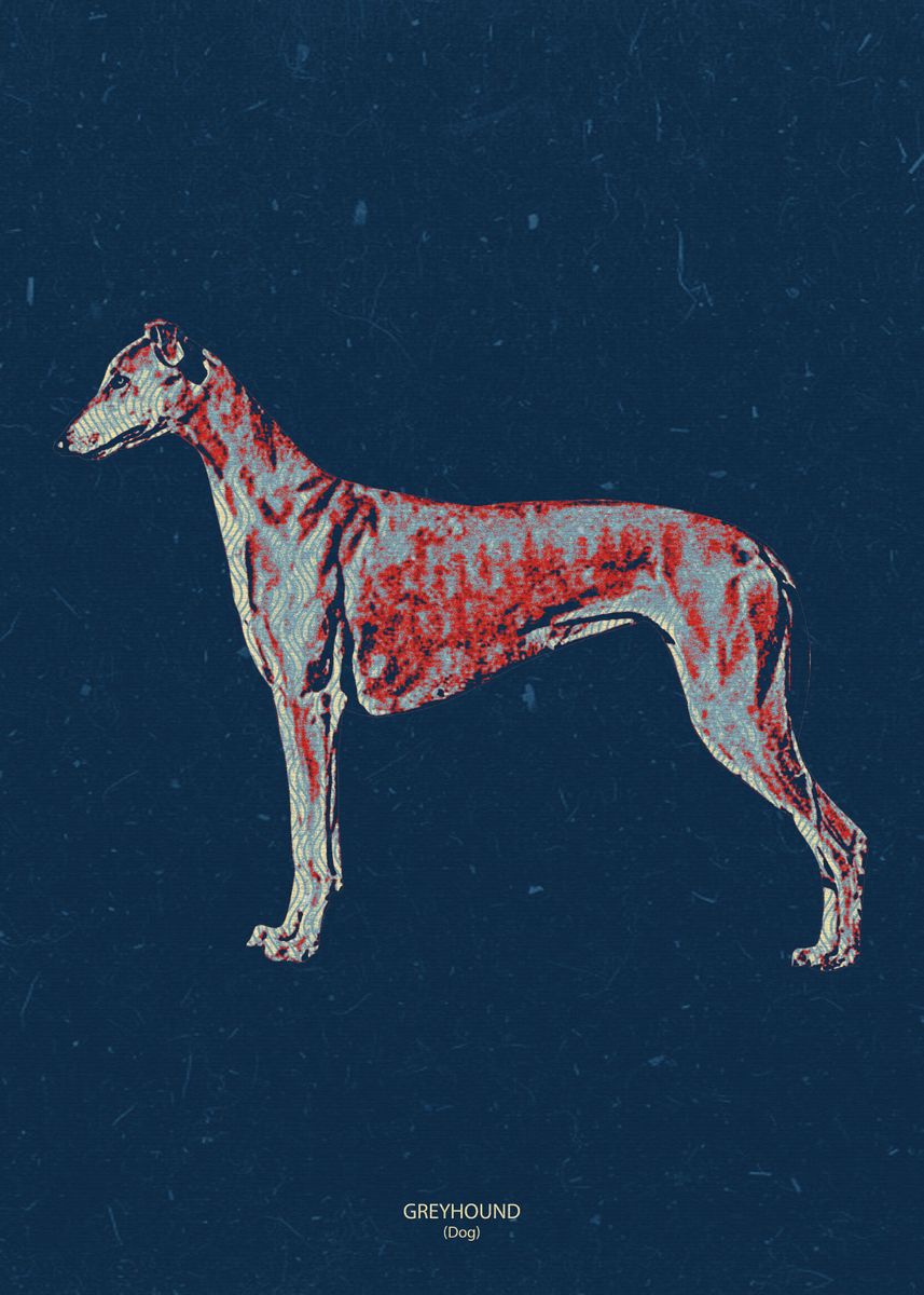 'Greyhound' Poster by Izmo Scribbles | Displate
