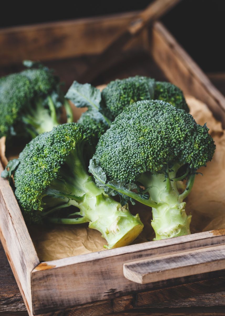 'Fresh broccolis' Poster, picture, metal print, paint by TaTu Art ...