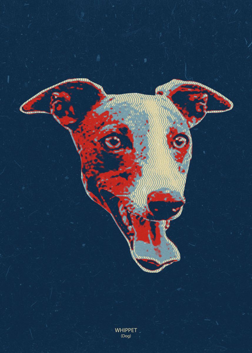 'Whippet' Poster, picture, metal print, paint by Izmo Scribbles | Displate