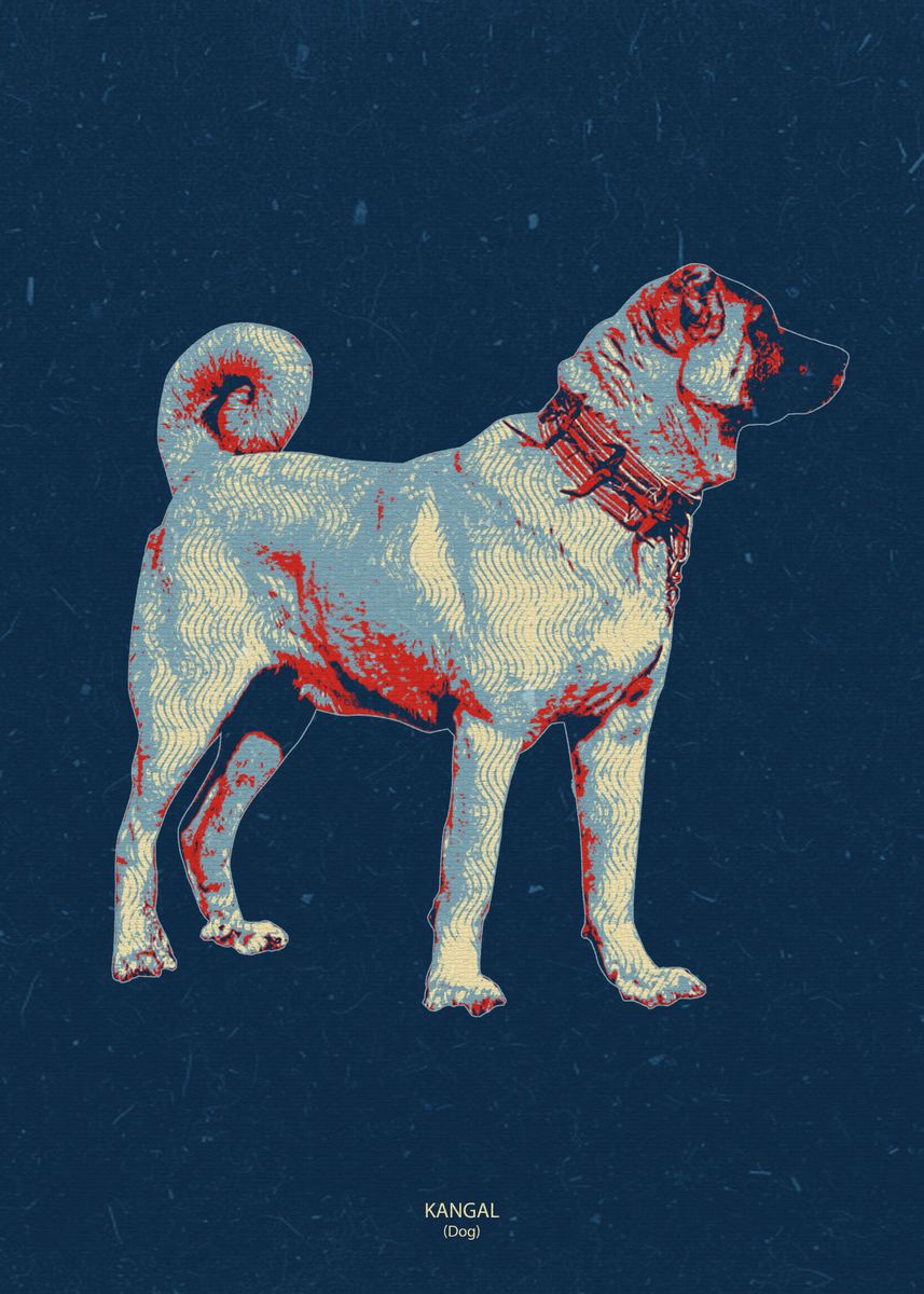 'kangal' Poster, picture, metal print, paint by Izmo Scribbles | Displate