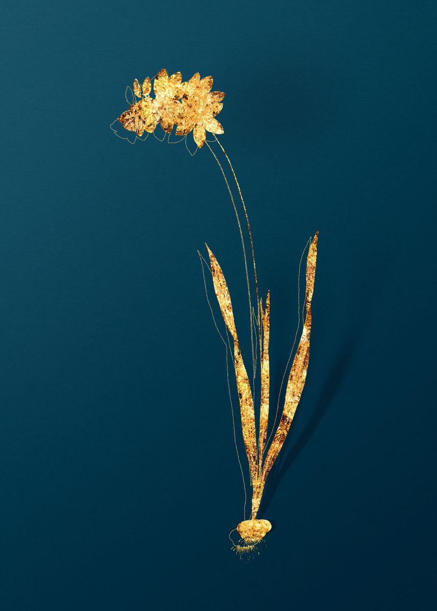 'Gold Flower Illustration' Poster, picture, metal print, paint by Holy ...