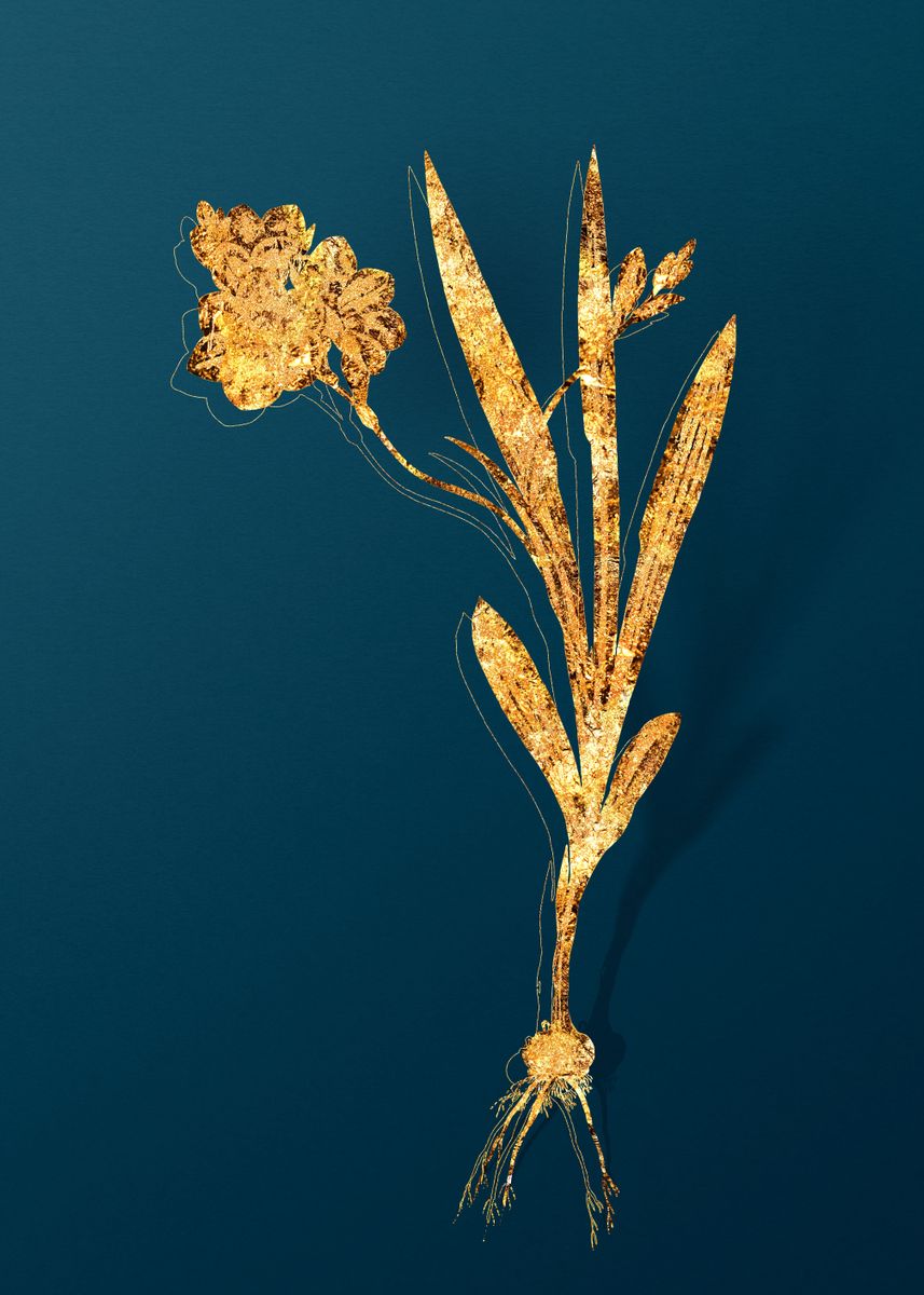 'Gold Flower Illustration' Poster, picture, metal print, paint by Holy ...