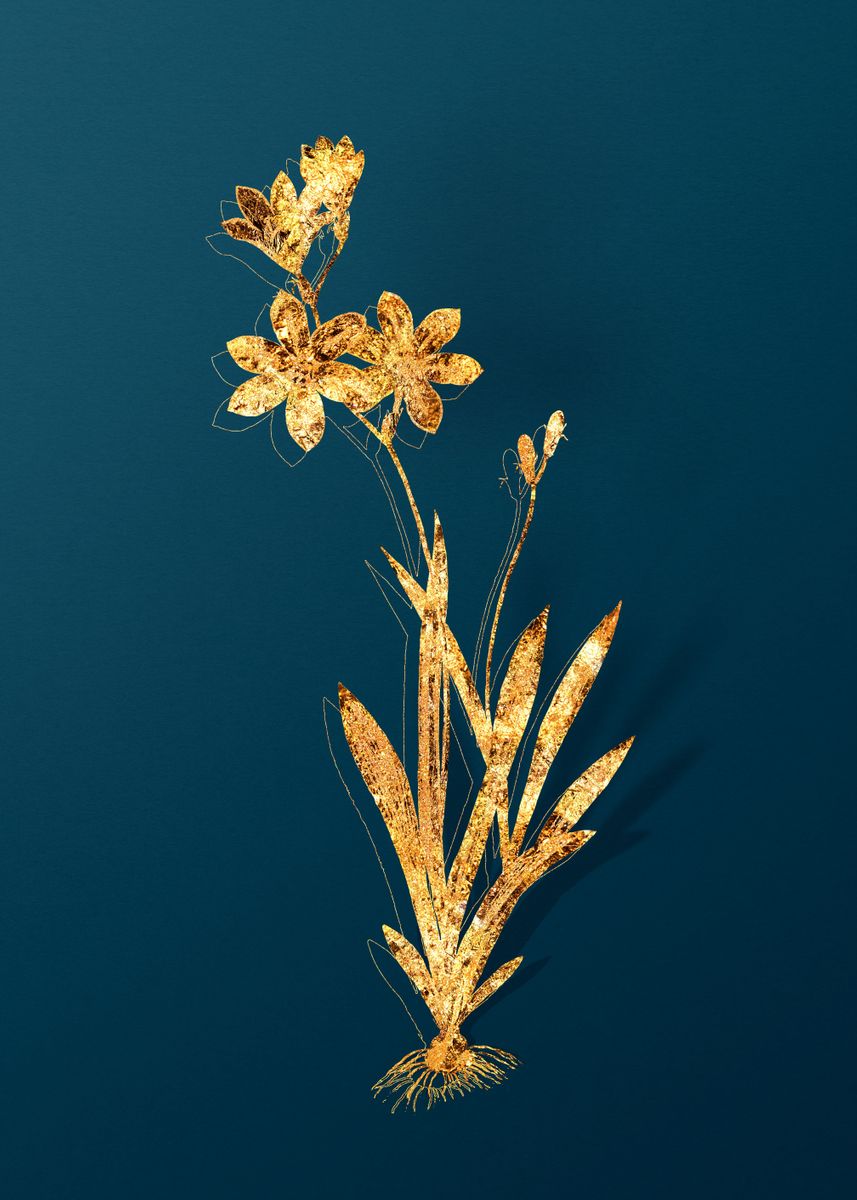 'Gold Flower Illustration' Poster, picture, metal print, paint by Holy ...
