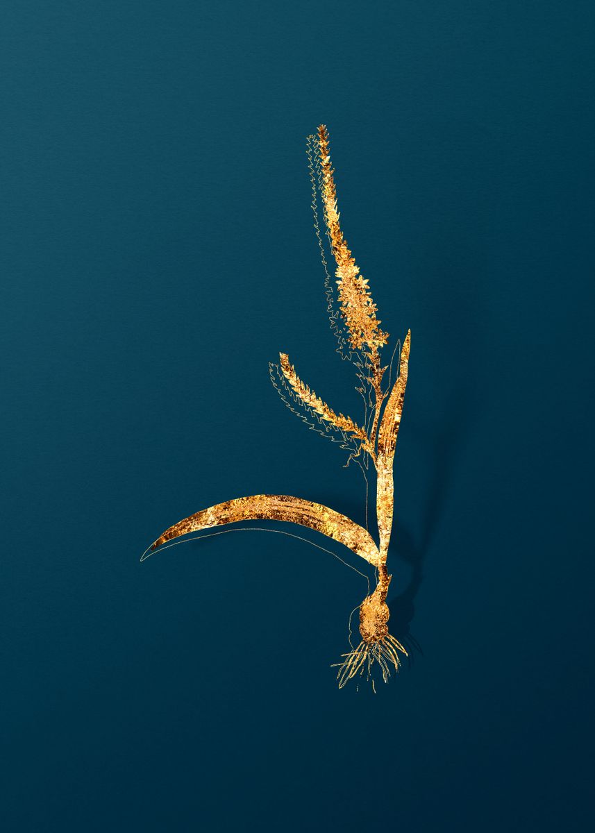 'Gold Flower Illustration' Poster, picture, metal print, paint by Holy ...