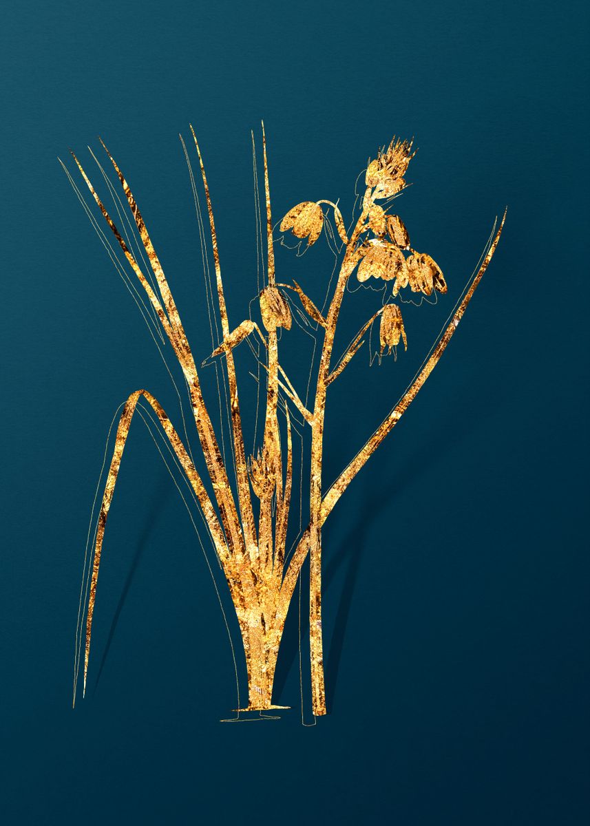 'Gold Flower Illustration' Poster by Holy Rock Design | Displate