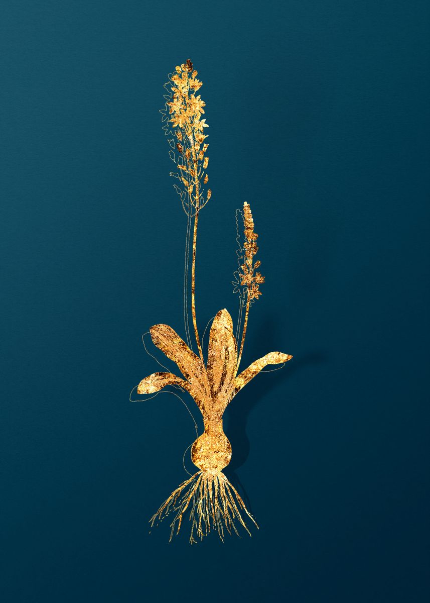 'Gold Flower Illustration' Poster, picture, metal print, paint by Holy ...