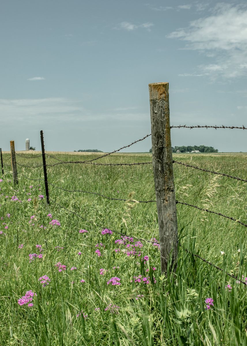 'Post Standing Tall' Poster, picture, metal print, paint by Troy Stapek ...