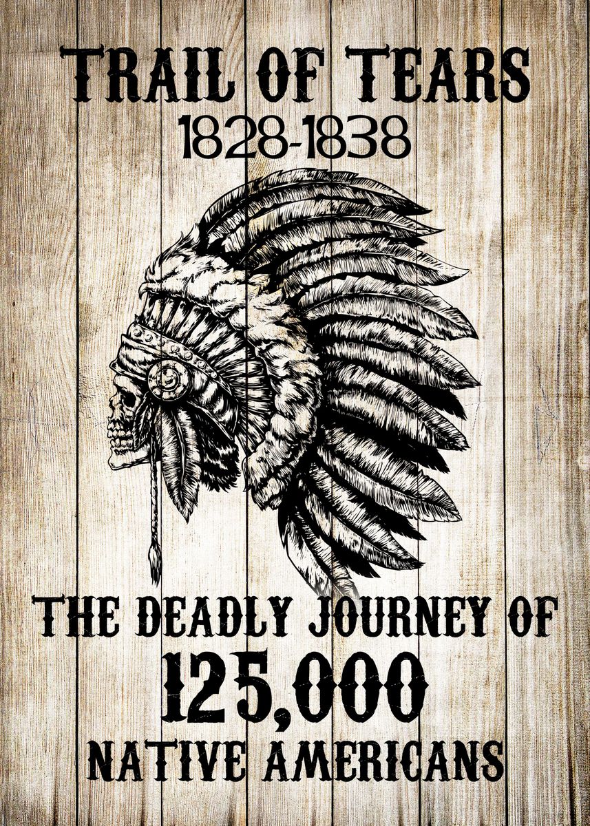 'Native american' Poster, picture, metal print, paint by Perch Jack ...