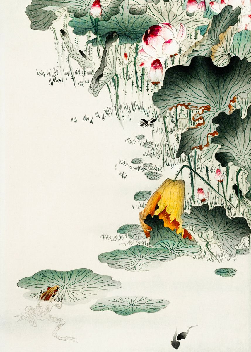 'Frog in swamp woodblcok ' Poster, picture, metal print, paint by ...