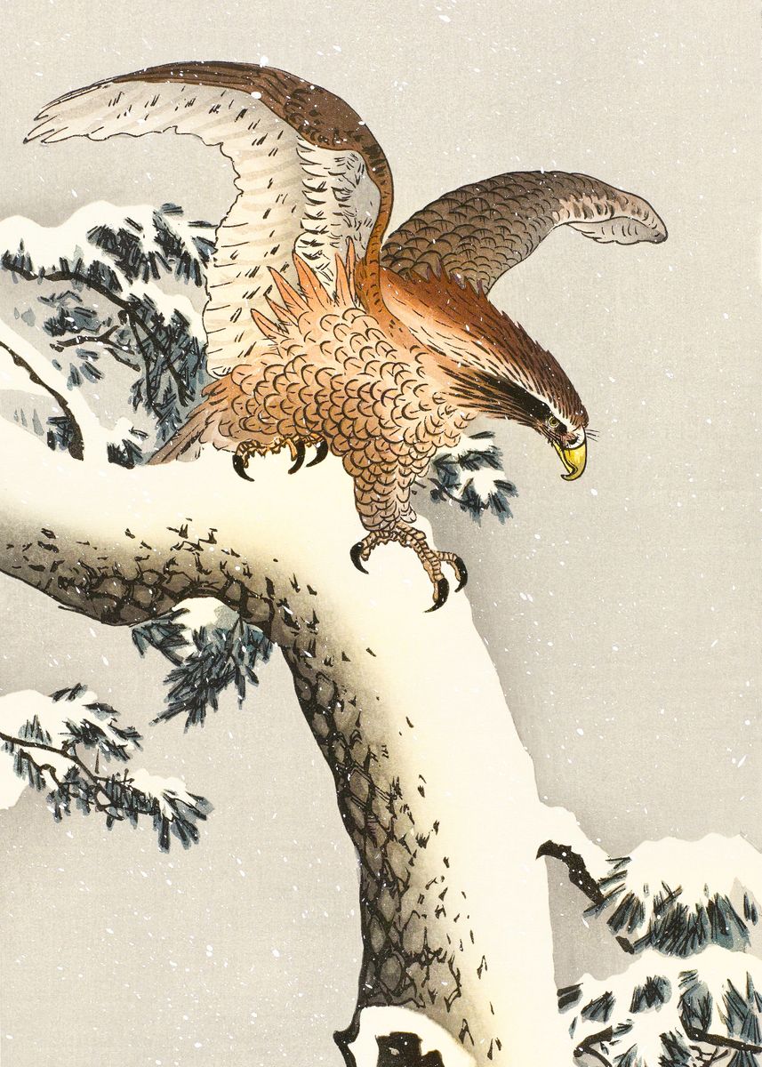 'Eagle stretching wings art' Poster, picture, metal print, paint by ...