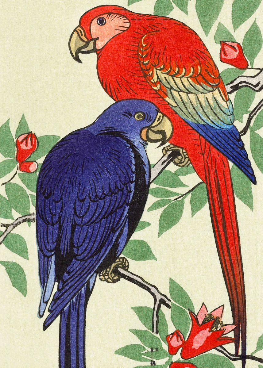 'Parrots and pomegranate ' Poster, picture, metal print, paint by ...