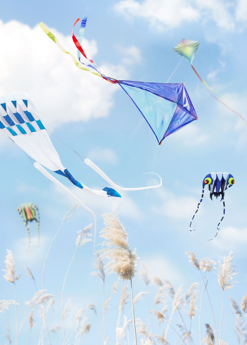 'Kite Fest' Poster by aeiaua | Displate