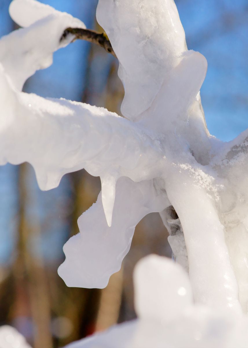 'Icy Tree Abstract Vertical' Poster by Art Ofphotos | Displate