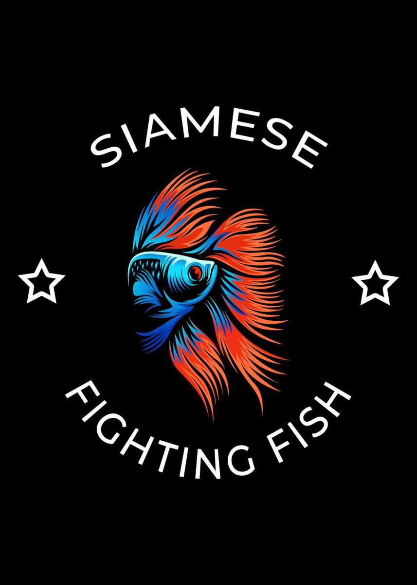 'Siamese Fighting Fish' Poster, picture, metal print, paint by Jon ...