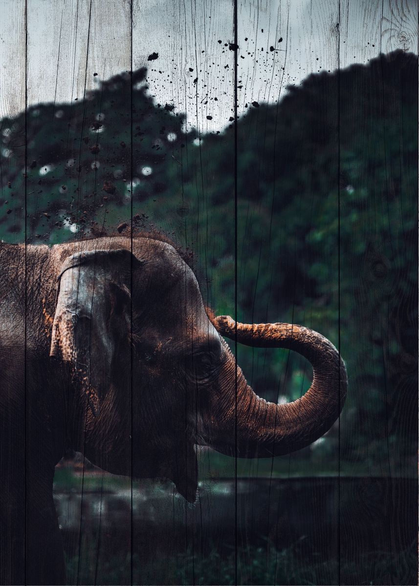 'Elephant Art' Poster by Clayborne Frank | Displate