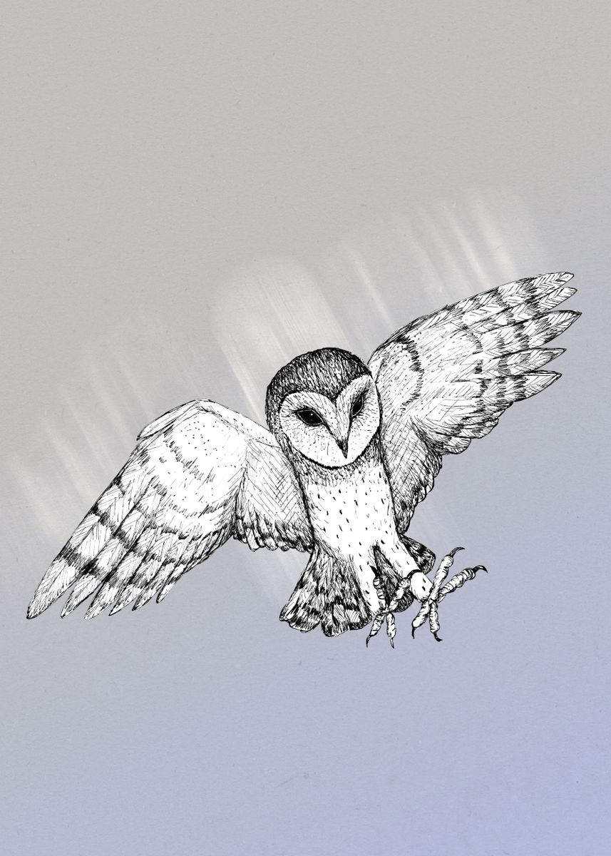 'Attacking barn owl' Poster, picture, metal print, paint by Bianca ...