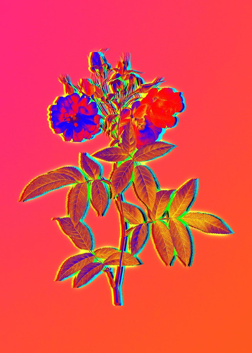 'Neon Botanical Drawing' Poster, picture, metal print, paint by Holy ...