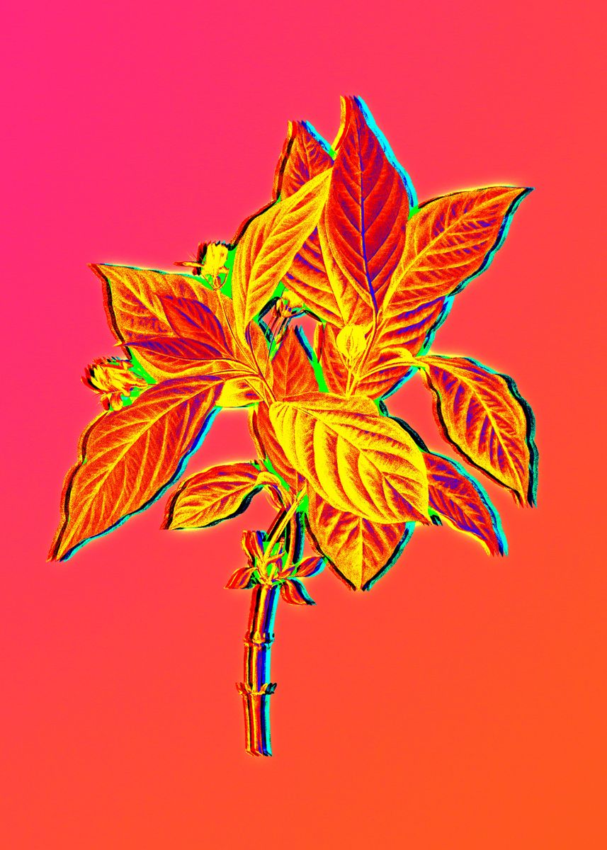 'Neon Botanical Drawing' Poster, picture, metal print, paint by Holy ...