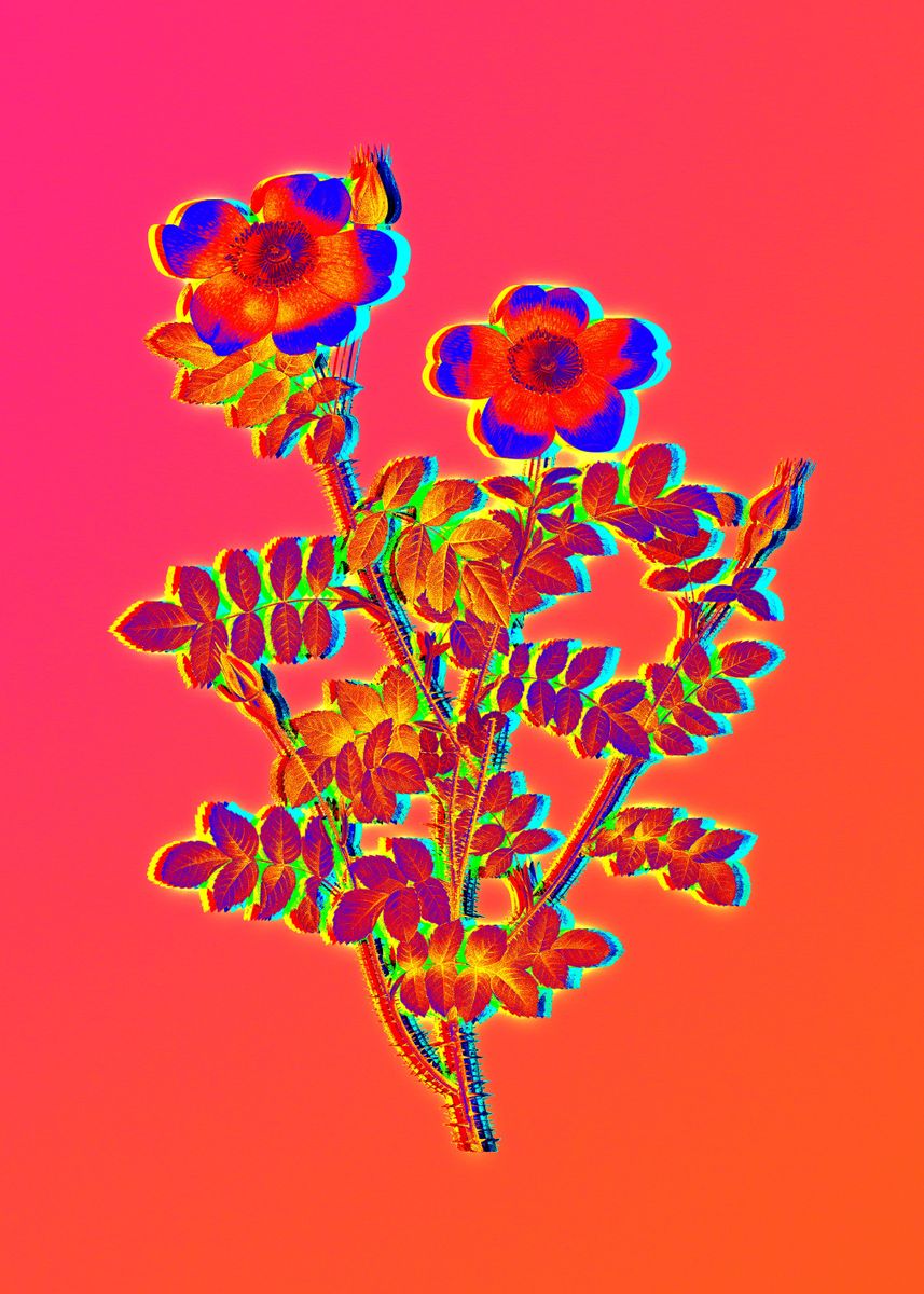 'Pink Neon Rose Painting' Poster by Holy Rock Design | Displate