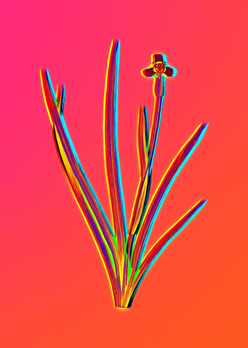 'Neon Botanical Drawing' Poster, picture, metal print, paint by Holy ...