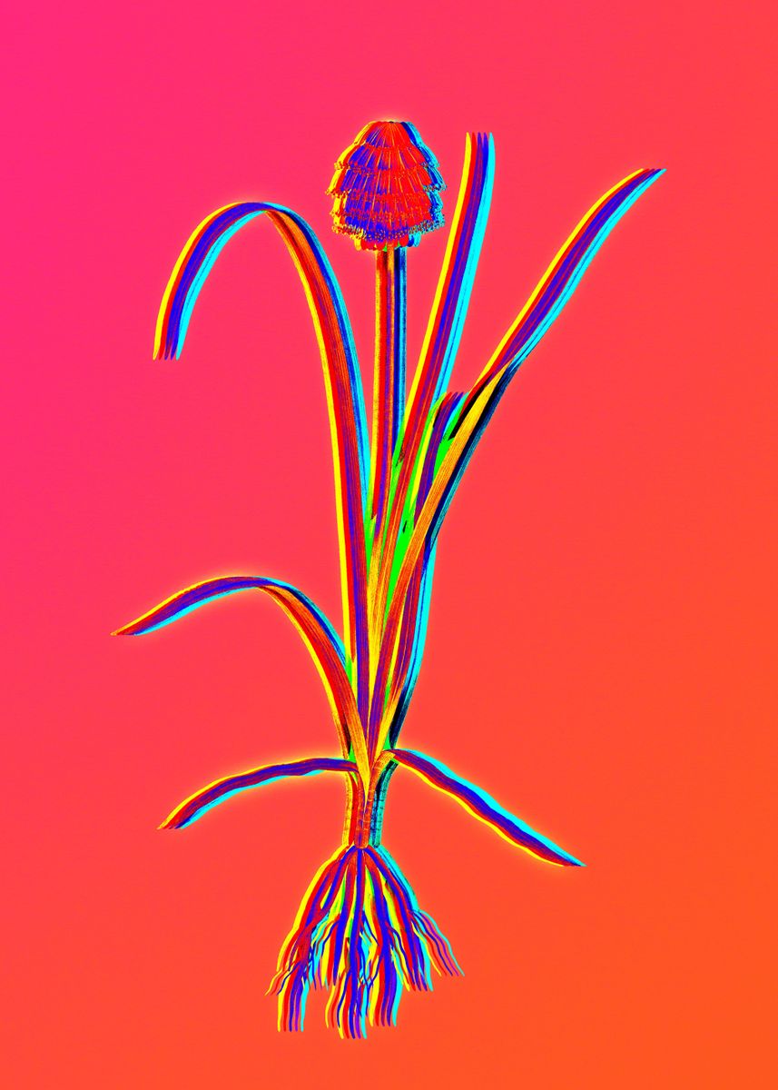 'Neon Flora Illustration' Poster, picture, metal print, paint by Holy ...