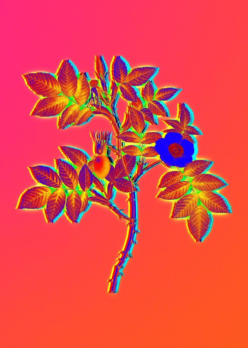 'Hot Neon Pink Flowers ' Poster, picture, metal print, paint by Holy ...