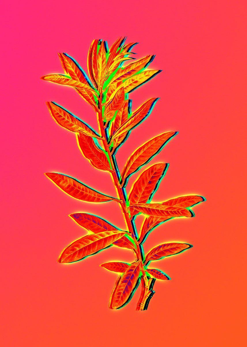 'Neon Botanical Painting' Poster by Holy Rock Design | Displate