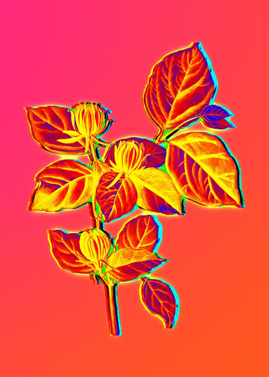 'Neon Botanical Flower' Poster, picture, metal print, paint by Holy ...