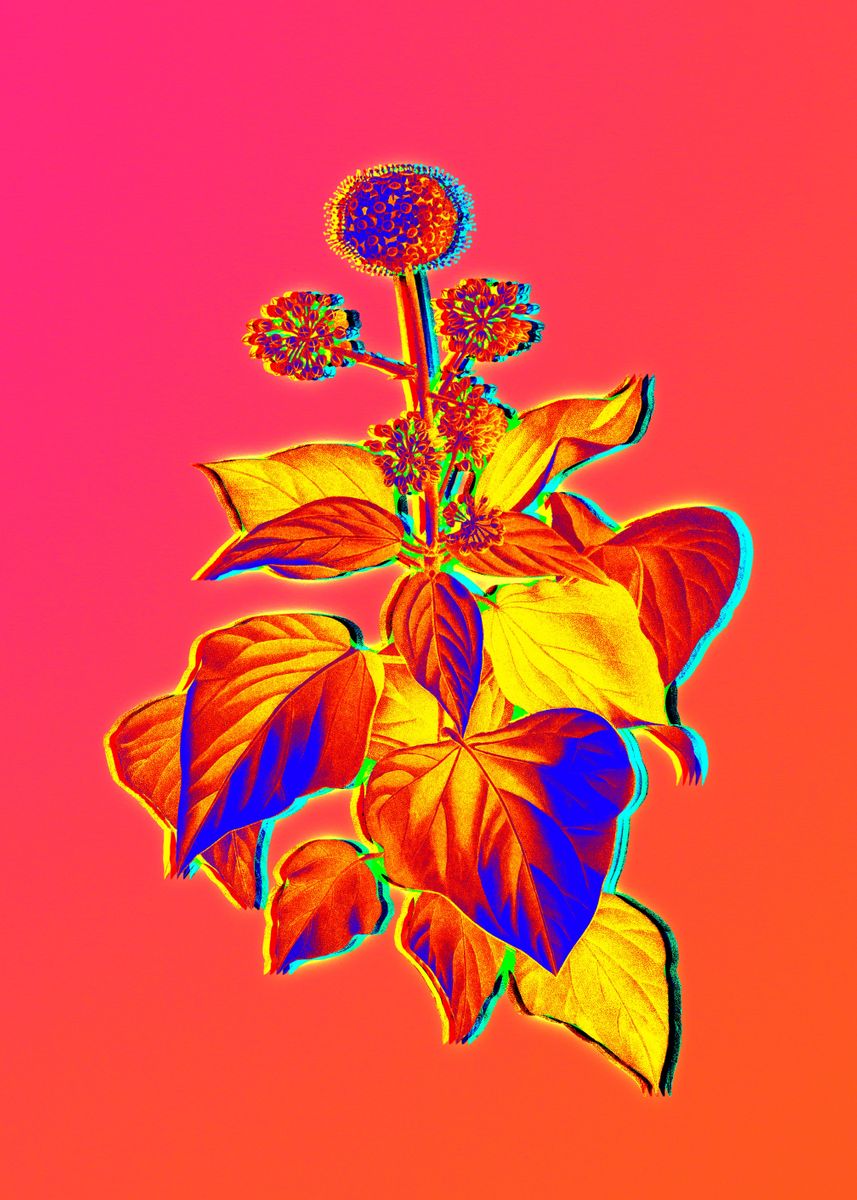 'Neon Botanical Flowers' Poster, picture, metal print, paint by Holy ...