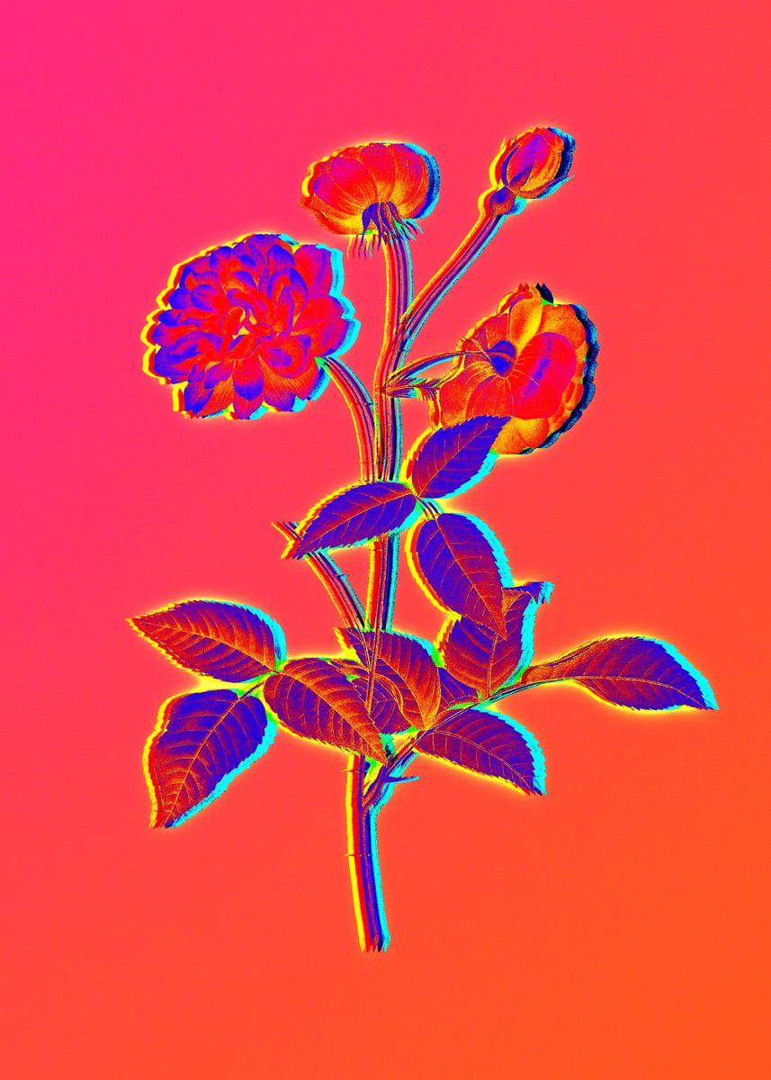 'Neon Flora Illustration' Poster, picture, metal print, paint by Holy ...