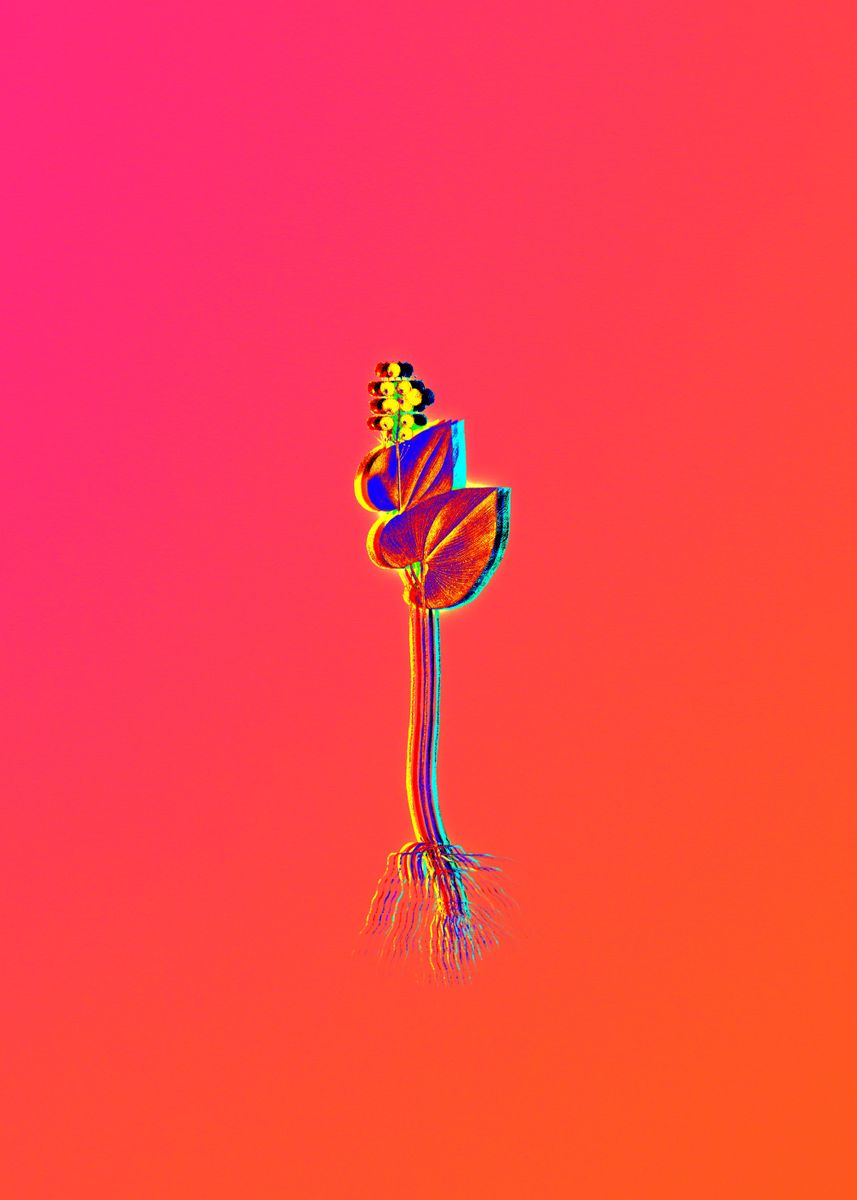 'Hot Neon Pink Flowers ' Poster by Holy Rock Design | Displate