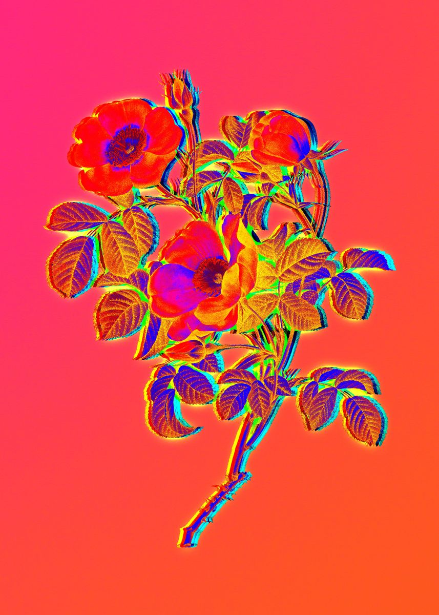 'Pink Neon Roses' Poster by Holy Rock Design | Displate