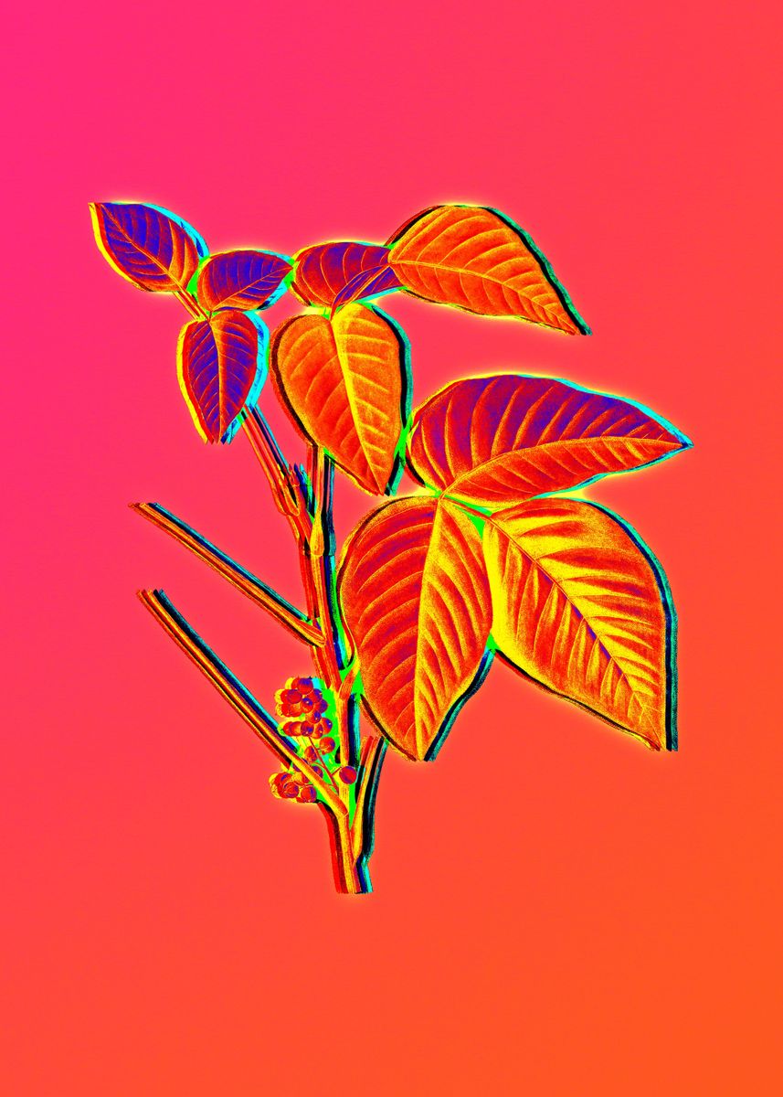 'Pink Flower Yellow Flower' Poster by Holy Rock Design | Displate