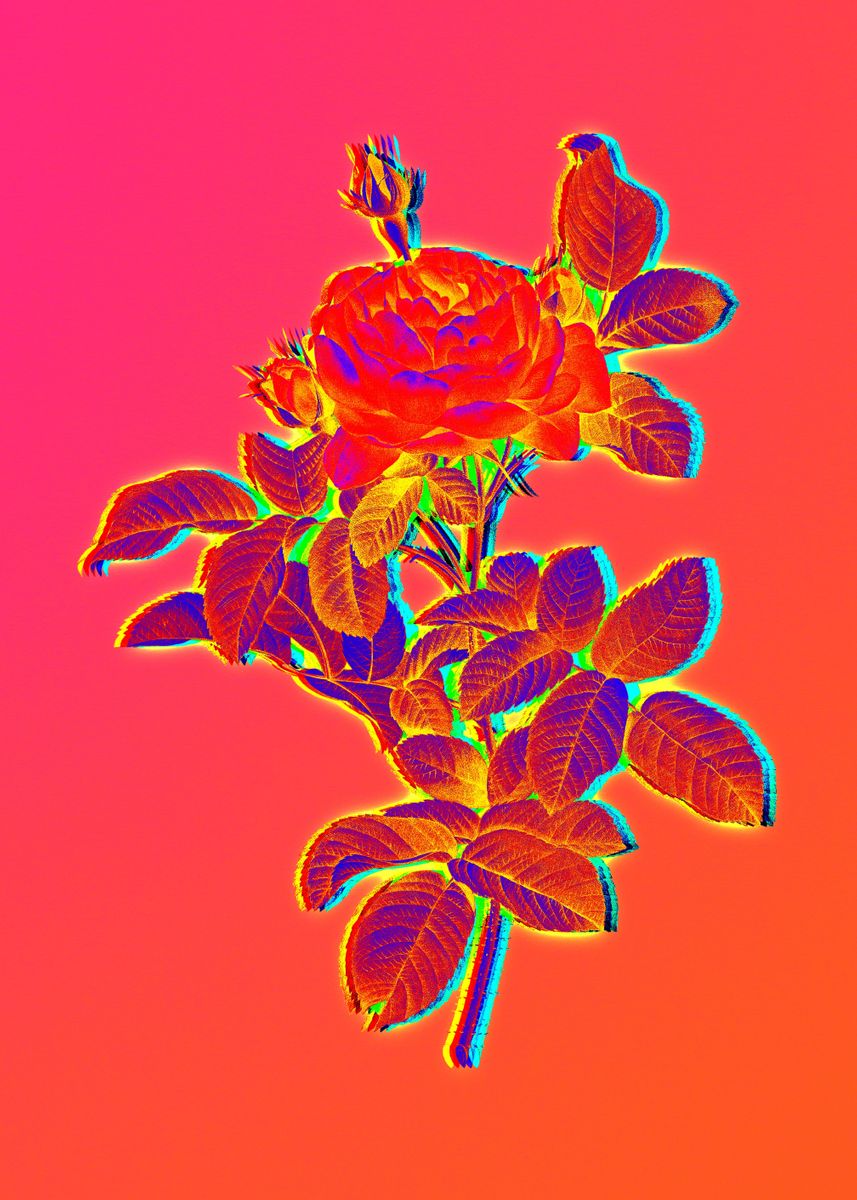 'Pink Neon Roses' Poster by Holy Rock Design | Displate