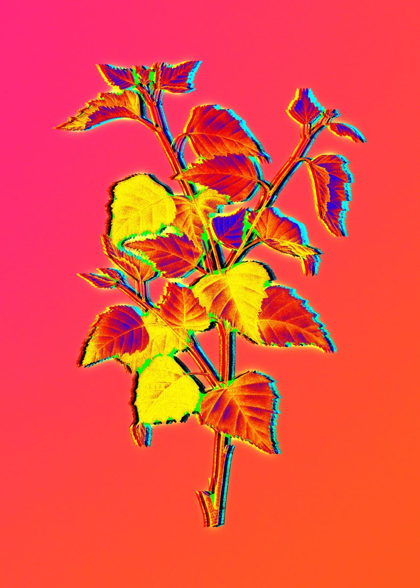 'Neon Botanical Drawings' Poster, picture, metal print, paint by Holy ...