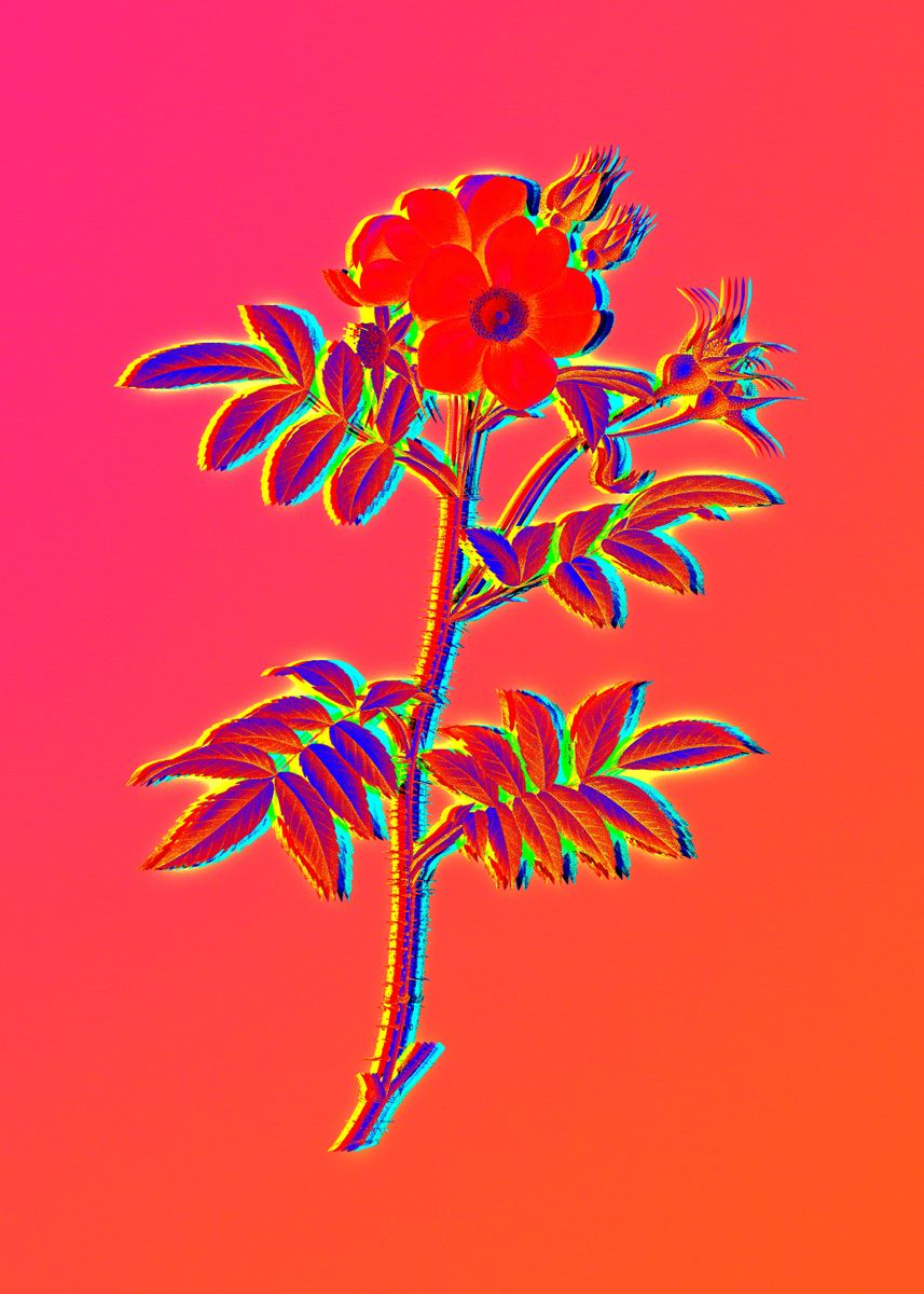 'Pink Neon Roses' Poster by Holy Rock Design | Displate