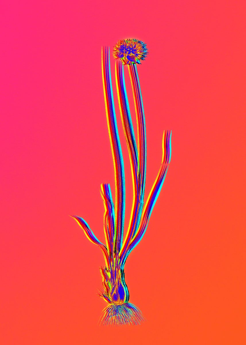 'Neon Flower Illustration' Poster by Holy Rock Design | Displate