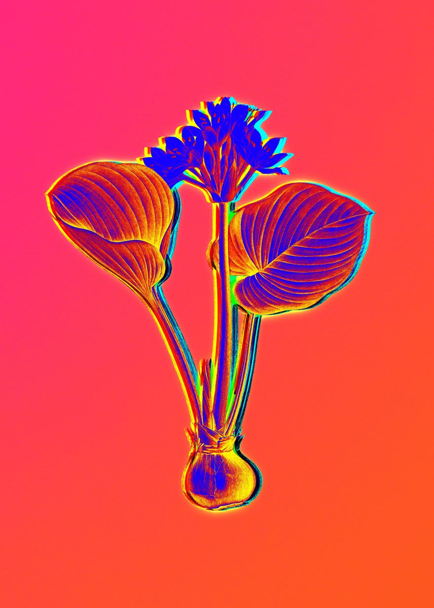 'Pink Neon Flower Drawing' Poster by Holy Rock Design | Displate