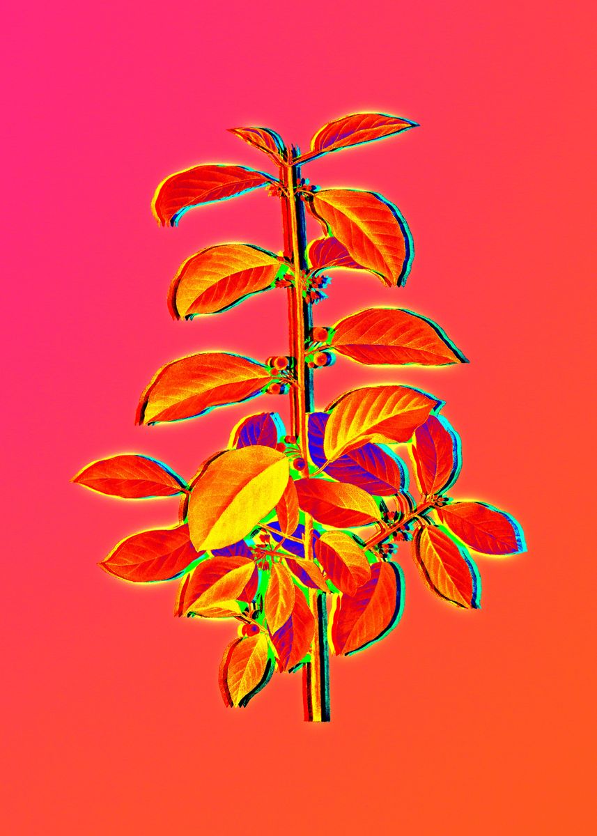 'Neon Botanical Drawing' Poster, picture, metal print, paint by Holy ...