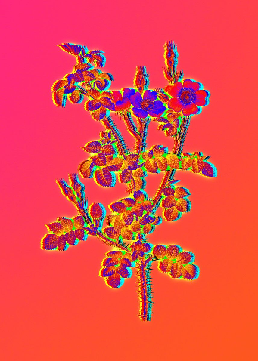 'Pink Neon Roses' Poster by Holy Rock Design | Displate