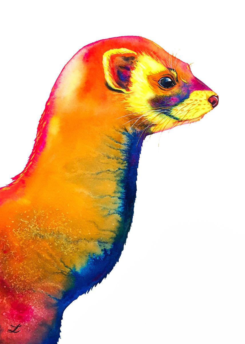 'Polecat' Poster, picture, metal print, paint by Zaira Dzhaubaeva ...
