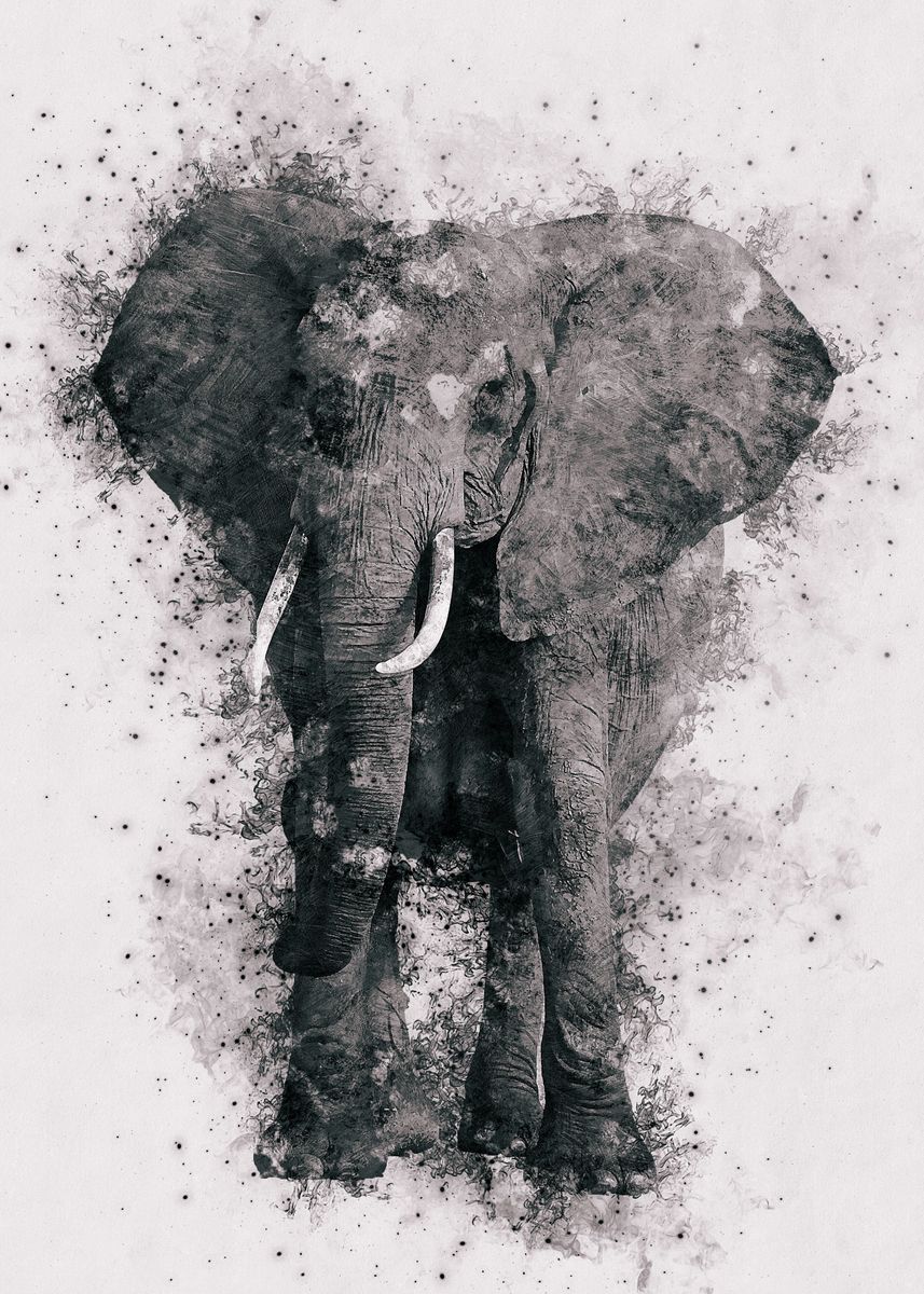 'Elephant' Poster by NiceAndBetter studio | Displate