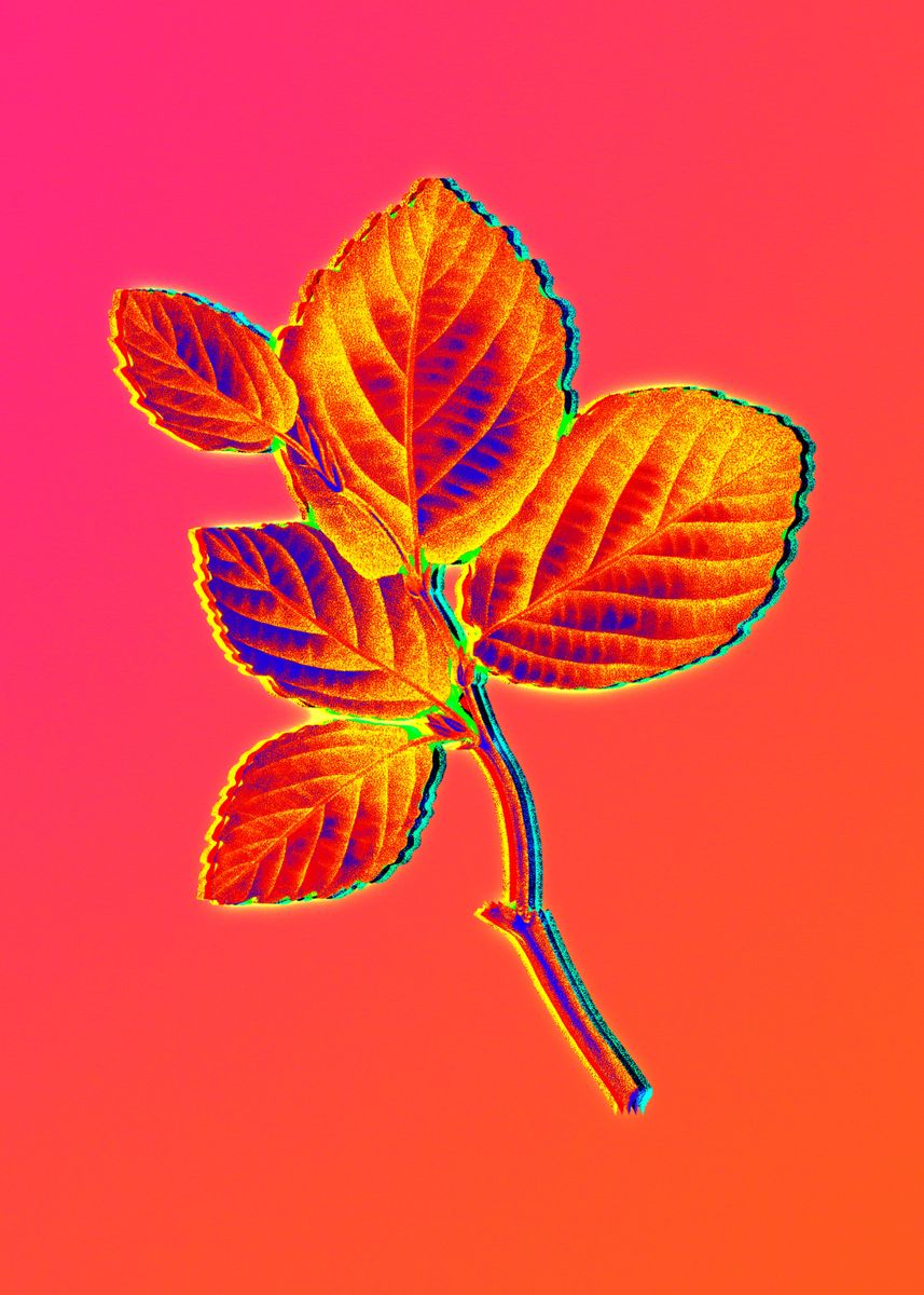 'Neon Leaf Illustration' Poster, picture, metal print, paint by Holy ...