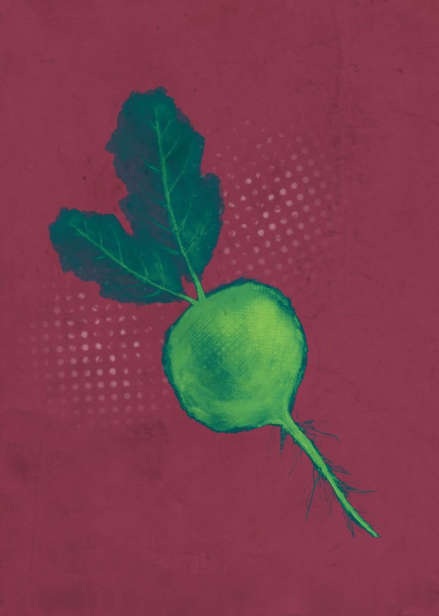 'Fresh beetroot' Poster, picture, metal print, paint by J.Lu | Displate