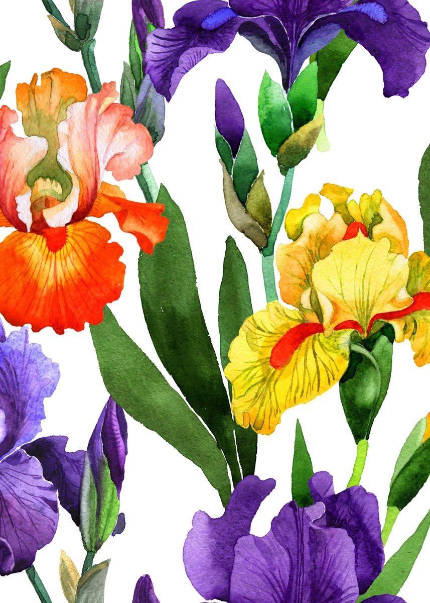 'Iris Pattern 07' Poster, picture, metal print, paint by Aloke Design ...